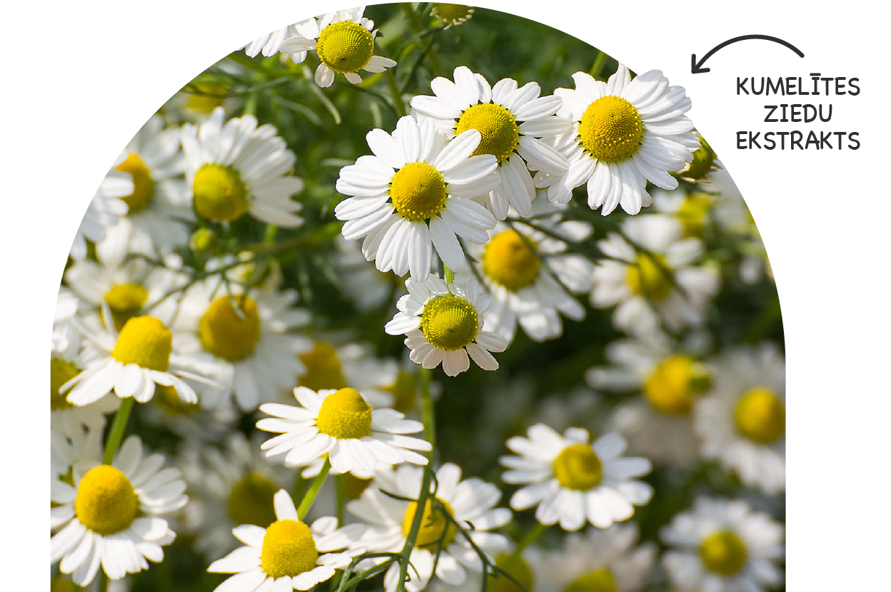 Lactofar - Saccharomyces boulardii un Kumelītes kombinācija